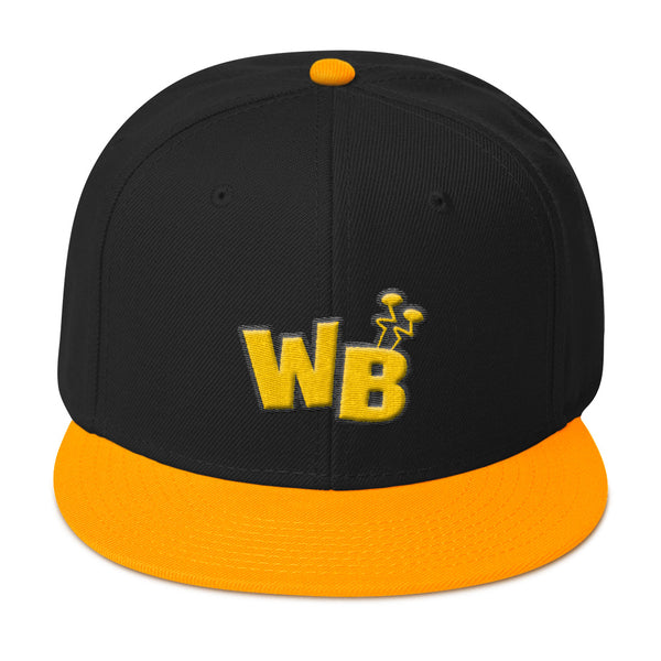 WB Logo - Wool Blend Snapback – Freeze Tag Store